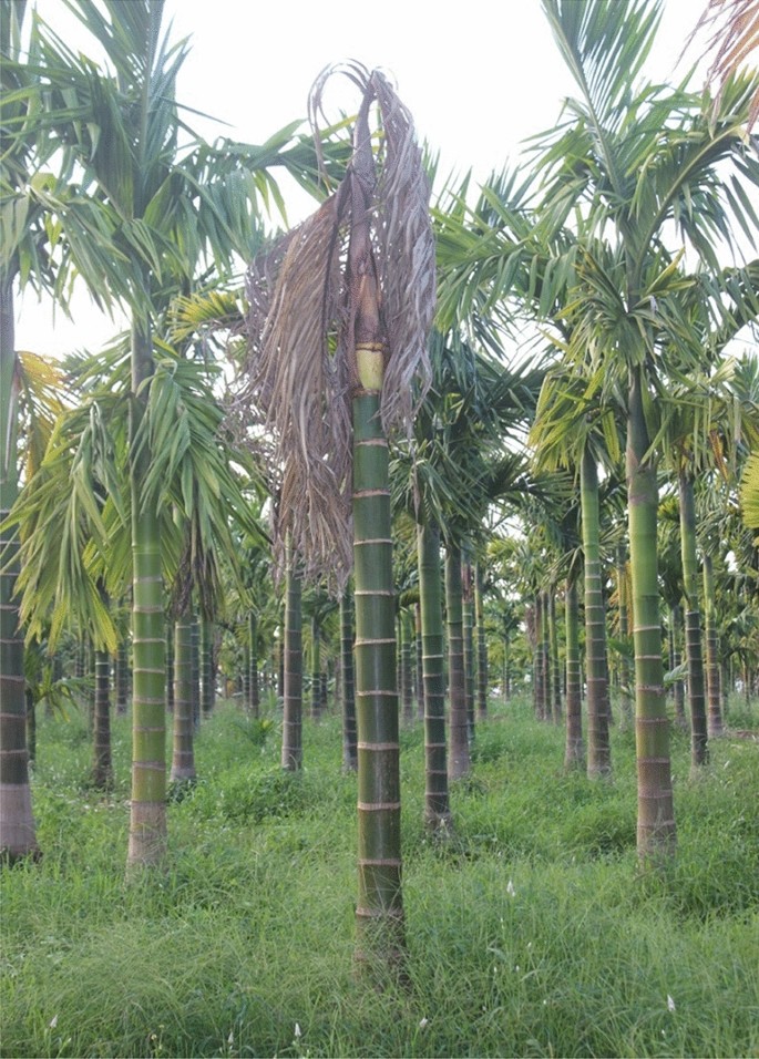KAU Agri Infotech Portal